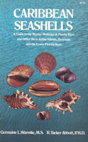 Caribbean Seashells. A guide to the marine Mollusks of Puerto Rico and ...