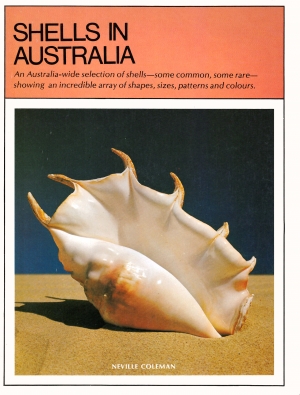 Shells in Australia. An Australia-wide selection of shells - some ...