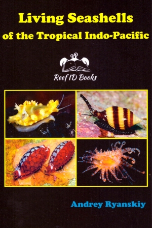 Living Seashells of the Tropical Indo-Pacific « Books for Sale | Conchbooks