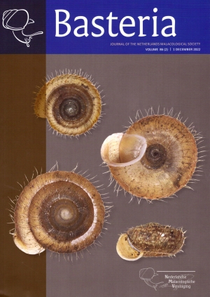 Basteria 86 (2) « Conchological MegaDatabase Iconographic Overview on ...